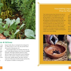 Plant Partners: Science-Based Companion Planting Strategies for the Vegetable Garden