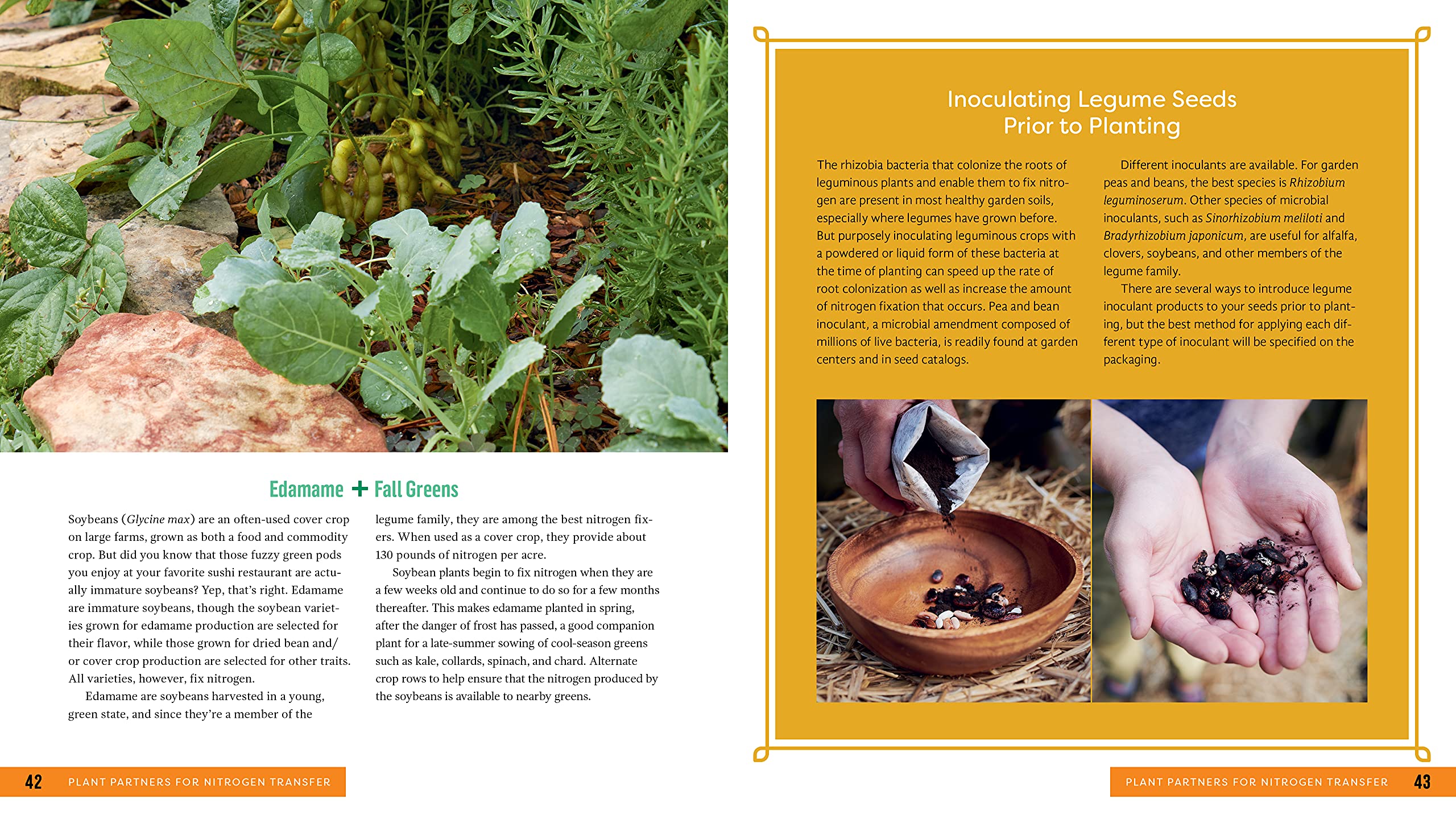 Plant Partners: Science-Based Companion Planting Strategies for the Vegetable Garden