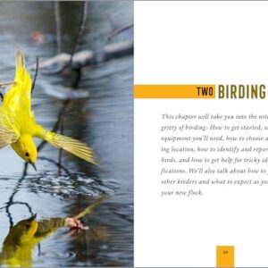 North American Bird Watching for Beginners: Field Notes on 150 Species to Start Your Birding Adventures