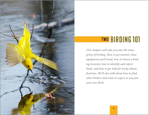 North American Bird Watching for Beginners: Field Notes on 150 Species to Start Your Birding Adventures