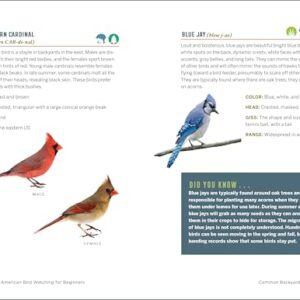 North American Bird Watching for Beginners: Field Notes on 150 Species to Start Your Birding Adventures