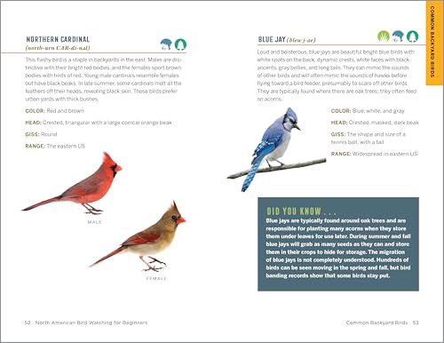 North American Bird Watching for Beginners: Field Notes on 150 Species to Start Your Birding Adventures