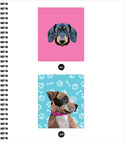 Brain Games - Sticker by Number: Puppies & Dogs - 2 Books in 1 (42 Images to Sticker)