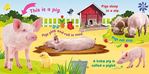 First Animal Facts: Farm-5 Button Animal Sounds Book