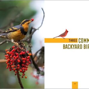 North American Bird Watching for Beginners: Field Notes on 150 Species to Start Your Birding Adventures