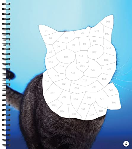 Brain Games - Sticker by Number: Cat-itude