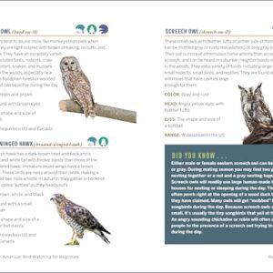 North American Bird Watching for Beginners: Field Notes on 150 Species to Start Your Birding Adventures