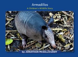 armadillos: a children's wildlife book