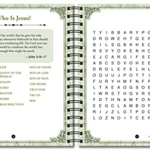 Brain Games - Miracles of Jesus Word Search Puzzles (Brain Games - Bible)