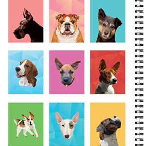 Brain Games - Sticker by Number: Dogs (28 Images to Sticker)