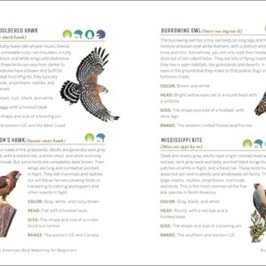 North American Bird Watching for Beginners: Field Notes on 150 Species to Start Your Birding Adventures