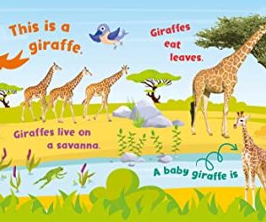 First Animal Facts: Safari-5 Button Animal Sounds Book