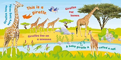 First Animal Facts: Safari-5 Button Animal Sounds Book