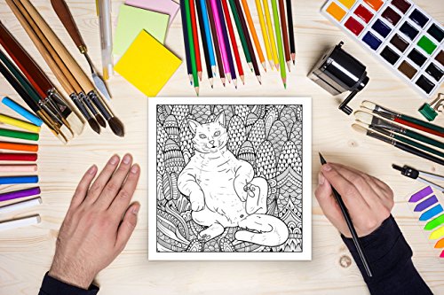 Cat Butt: An Off-Color Adult Coloring Book for Cat Lovers