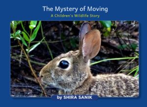 the mystery of moving: a children's wildlife story