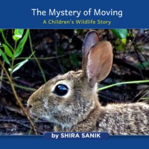 The Mystery of Moving: A Children's Wildlife Story