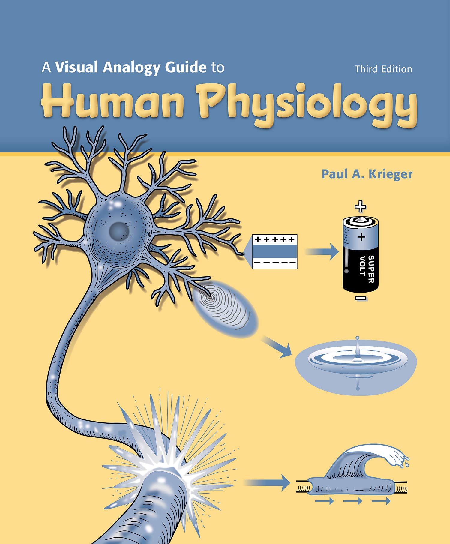 A Visual Analogy Guide to Human Physiology, 3e