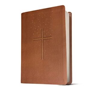 The Message Devotional Bible, Large Print (Leather-Look, Brown): Featuring Notes and Reflections from Eugene H. Peterson