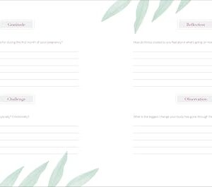 The First-Time Mom's Pregnancy Journal: Monthly Checklists, Activities, & Journal Prompts