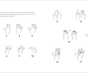 American Sign Language for Kids: 101 Easy Signs for Nonverbal Communication