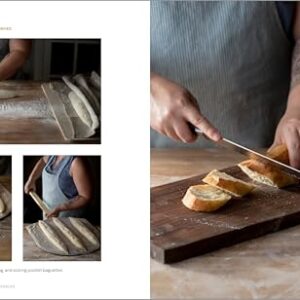 Bread Baking for Beginners: The Essential Guide to Baking Kneaded Breads, No-Knead Breads, and Enriched Breads