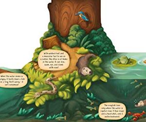 Discovering the World of Nature Along the Riverbank (Happy Fox Books) Board Book for Kids Ages 3-6 to Learn About Animals Living In, Near, or Under Water, plus Fun and Educational Facts (Peek Inside)