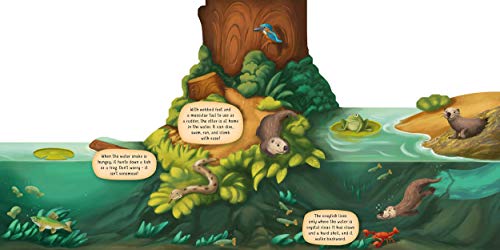 Discovering the World of Nature Along the Riverbank (Happy Fox Books) Board Book for Kids Ages 3-6 to Learn About Animals Living In, Near, or Under Water, plus Fun and Educational Facts (Peek Inside)