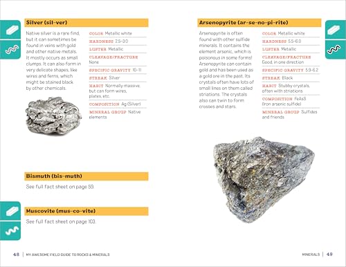 My Awesome Field Guide to Rocks and Minerals: Track and Identify Your Treasures (My Awesome Field Guide for Kids)