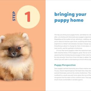 Puppy Training in 7 Easy Steps: Everything You Need to Know to Raise the Perfect Dog