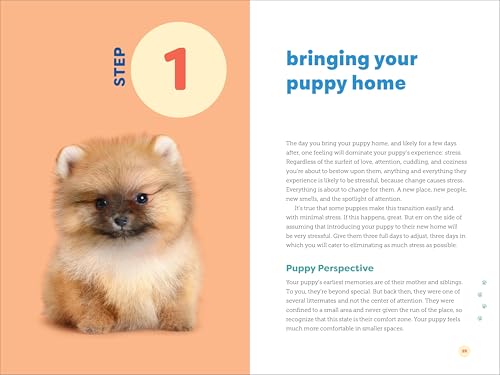 Puppy Training in 7 Easy Steps: Everything You Need to Know to Raise the Perfect Dog