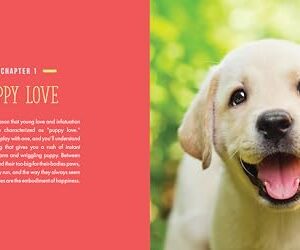 Dogs Will Be Dogs: The Ultimate Dog Quote Book