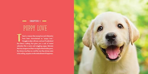 Dogs Will Be Dogs: The Ultimate Dog Quote Book