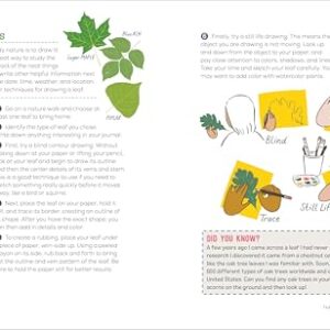 Exploring Nature Activity Book for Kids: 50 Creative Projects to Spark Curiosity in the Outdoors (Exploring for Kids Activity Books and Journals)