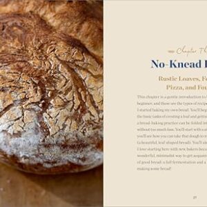 Bread Baking for Beginners: The Essential Guide to Baking Kneaded Breads, No-Knead Breads, and Enriched Breads