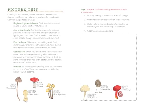 Exploring Nature Journal for Kids: Observe and Record the Outdoors (Exploring for Kids Activity Books and Journals)