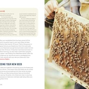 Beekeeping for Beginners: How To Raise Your First Bee Colonies