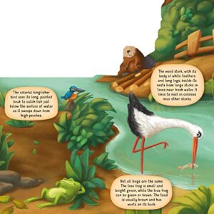 Discovering the World of Nature Along the Riverbank (Happy Fox Books) Board Book for Kids Ages 3-6 to Learn About Animals Living In, Near, or Under Water, plus Fun and Educational Facts (Peek Inside)