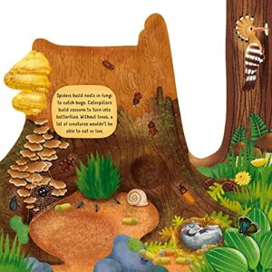 Discovering the Hidden Woodland World (Happy Fox Books) Board Book for Kids Ages 3-6 Explores into a Forest of Trees with Every Turn of the Page, plus Fun Facts and Vocabulary Words (Peek Inside)