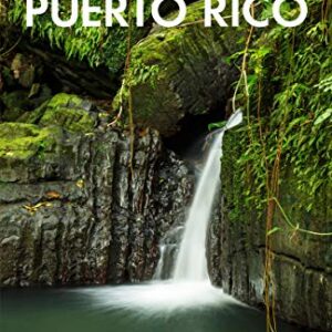 Fodor's Puerto Rico (Full-color Travel Guide)