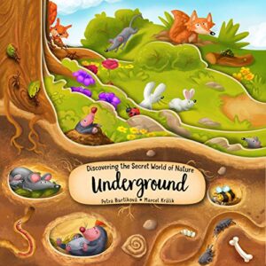 discovering the secret world of nature underground (happy fox books) board book takes kids ages 3-6 deep into the ground with every turn of the page, plus fun facts and vocabulary words (peek inside)