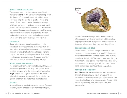 My Awesome Field Guide to Rocks and Minerals: Track and Identify Your Treasures (My Awesome Field Guide for Kids)