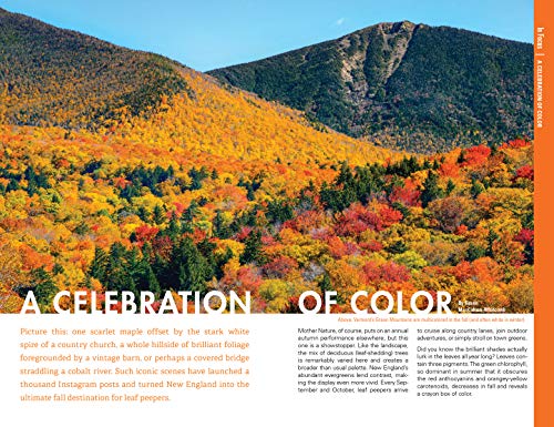 Fodor's New England (Full-color Travel Guide)