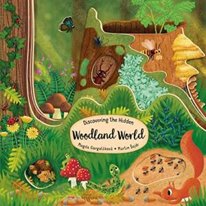 discovering the hidden woodland world (happy fox books) board book for kids ages 3-6 explores into a forest of trees with every turn of the page, plus fun facts and vocabulary words (peek inside)