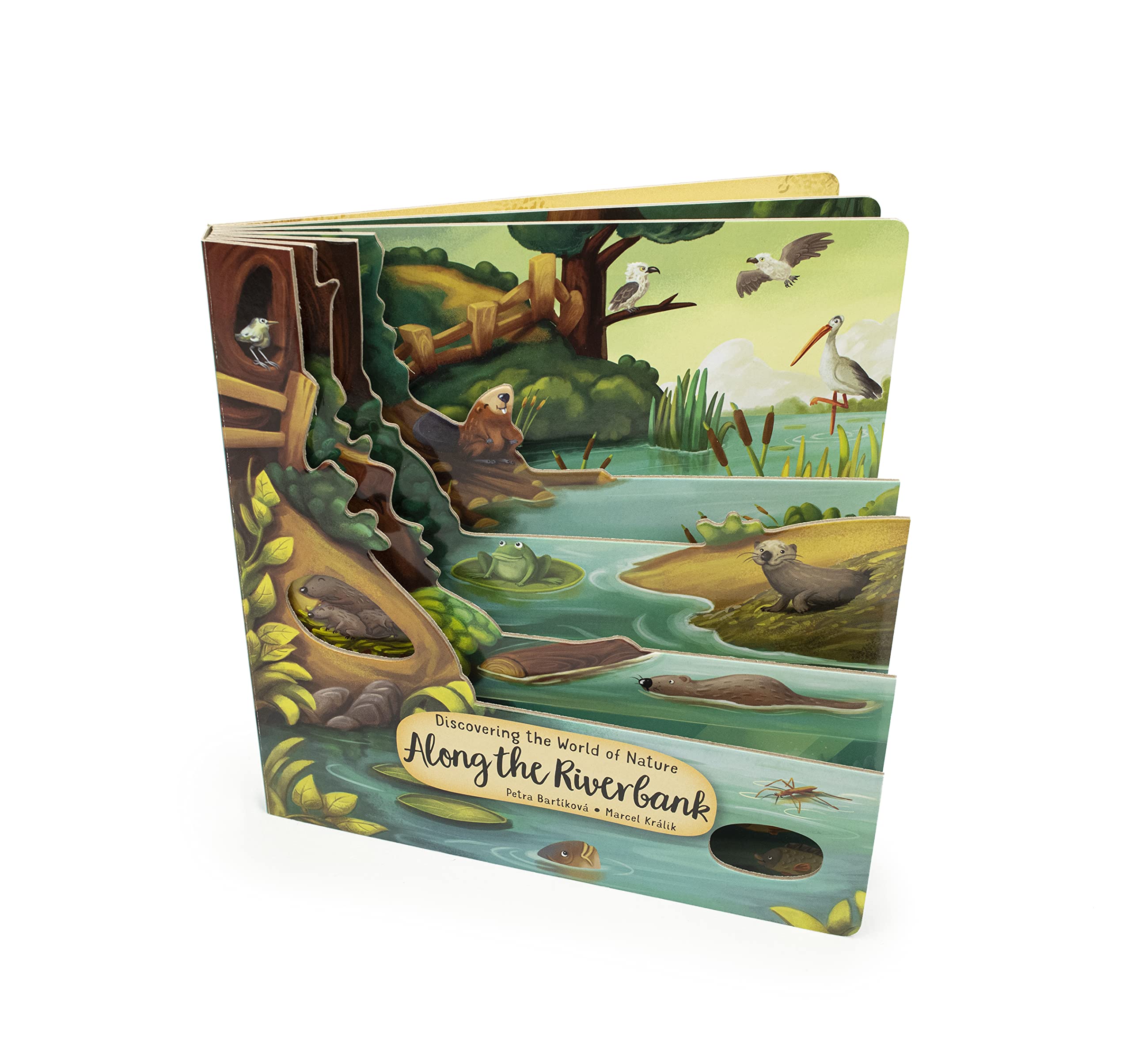 Discovering the World of Nature Along the Riverbank (Happy Fox Books) Board Book for Kids Ages 3-6 to Learn About Animals Living In, Near, or Under Water, plus Fun and Educational Facts (Peek Inside)