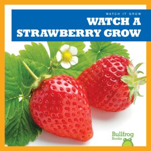 watch a strawberry grow (bullfrog books: watch it grow)