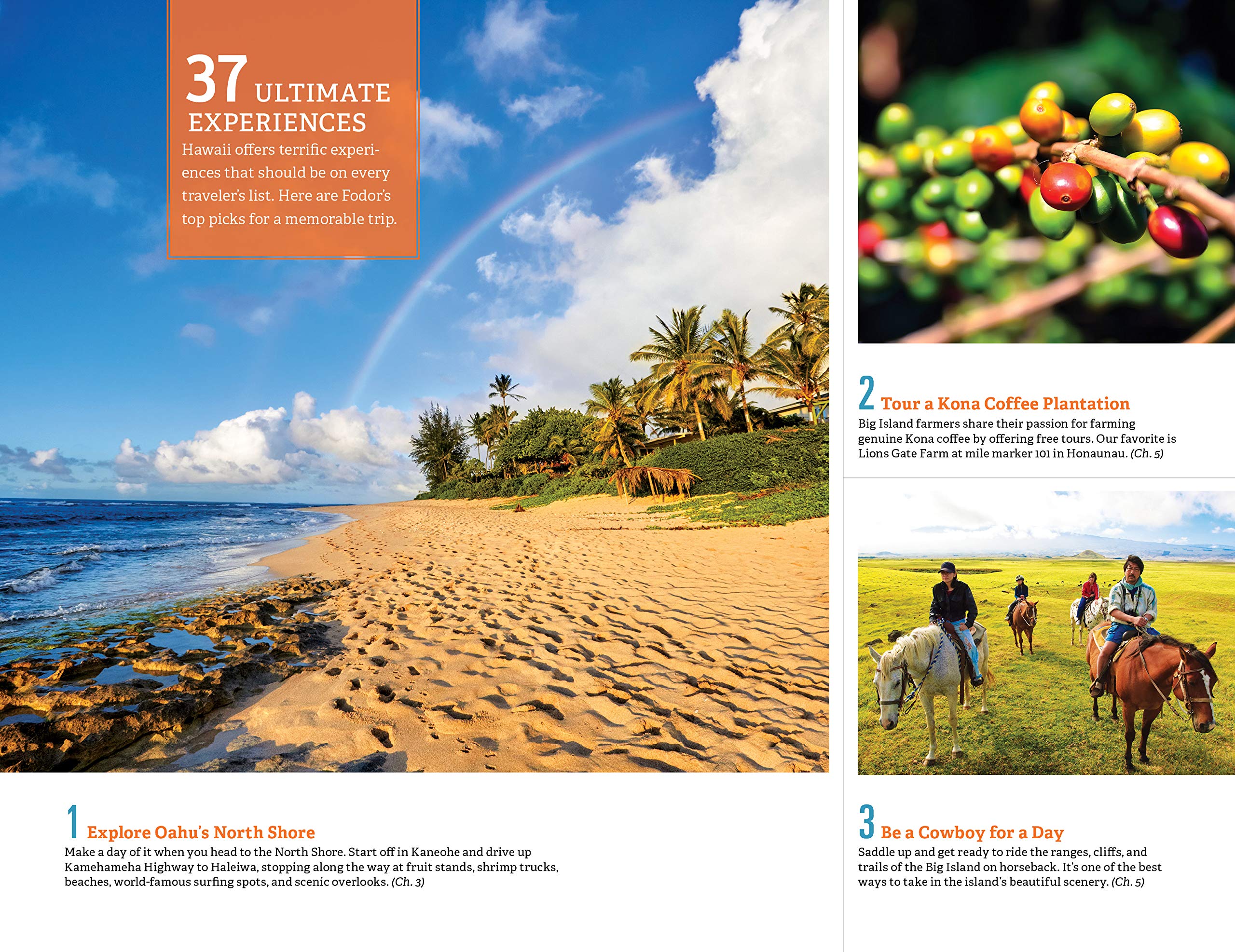 Fodor's Essential Hawaii (Full-color Travel Guide)