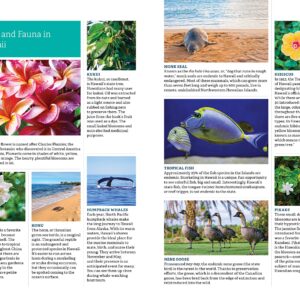 Fodor's Essential Hawaii (Full-color Travel Guide)