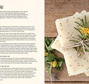 The Big Book of Homemade Products for Your Skin, Health and Home: Easy, All-Natural DIY Projects Using Herbs, Flowers and Other Plants