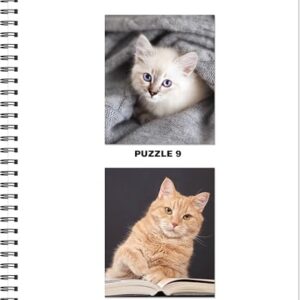 Brain Games - Sticker by Number: Cats & Kittens (Easy - Square Stickers): Create Beautiful Art With Easy to Use Sticker Fun!