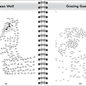 Brain Games - Dot-to-Dot Nature's Garden